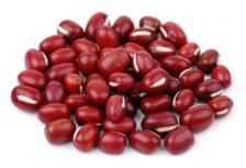 Are Lectins in Beans Dangerous?