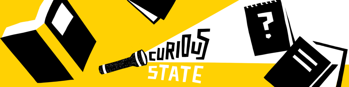 Curious State Newsletter